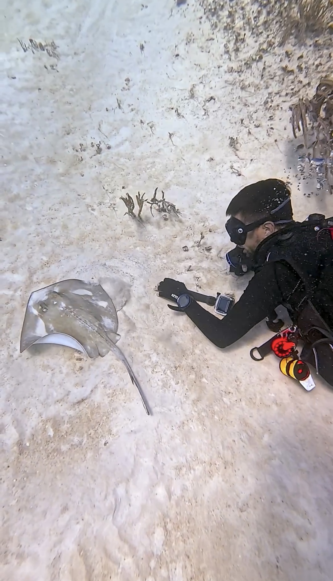 PADI Open Water Course